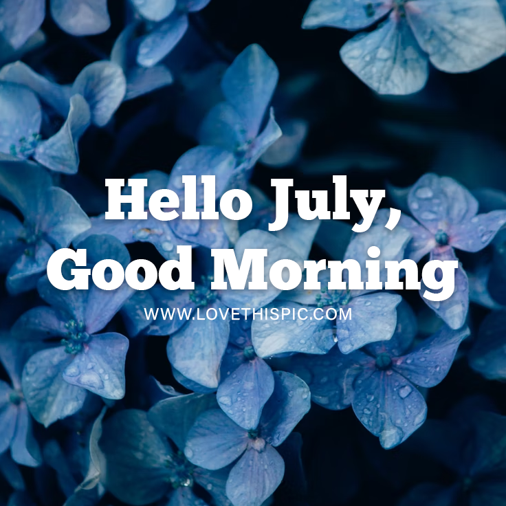Blue Hydrangeas - Hello July, Good Morning Pictures, Photos, and Images ...