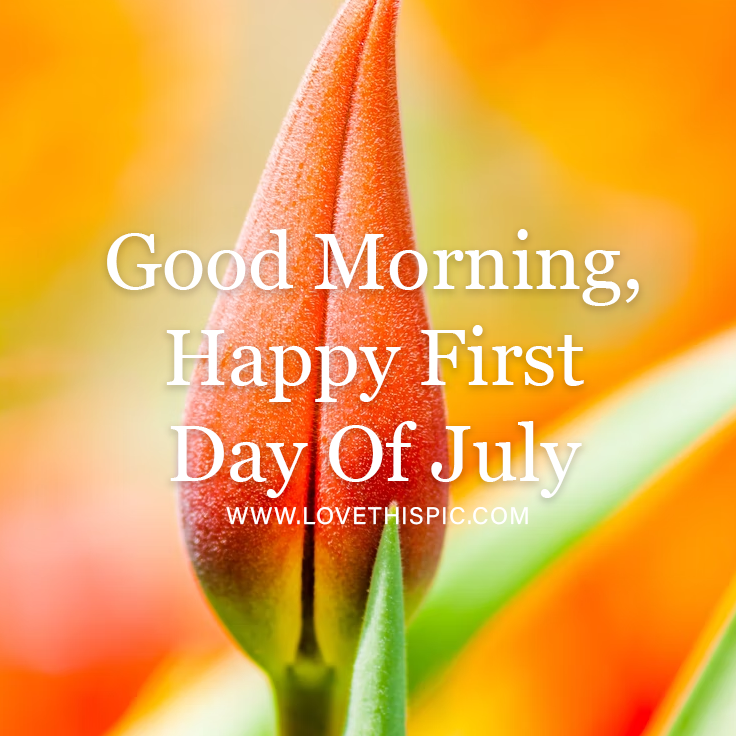 Orange Tulip Bud - Good Morning, Happy First Day Of July Pictures ...