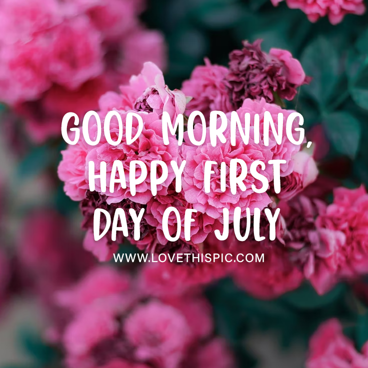Beautiful Pink Flowers Bunch - Good Morning, Happy First Day Of July ...