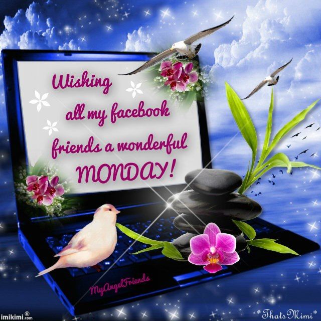 Wishing All My Facebook Friends A Wonderful Monday! Pictures, Photos, and Images for Facebook ...