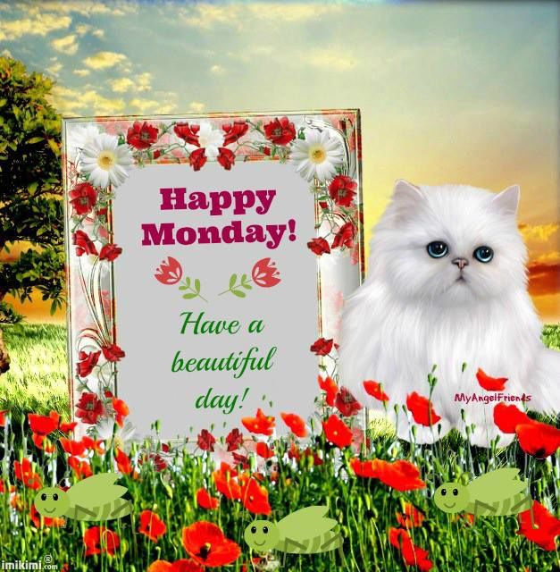 Happy Monday! Have A Beautiful Day! Pictures, Photos, and Images for ...