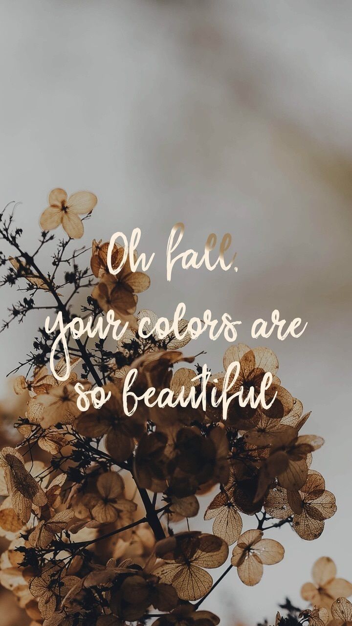 Oh Fall. Your Colors Are So Beautiful Pictures, Photos, and Images for ...