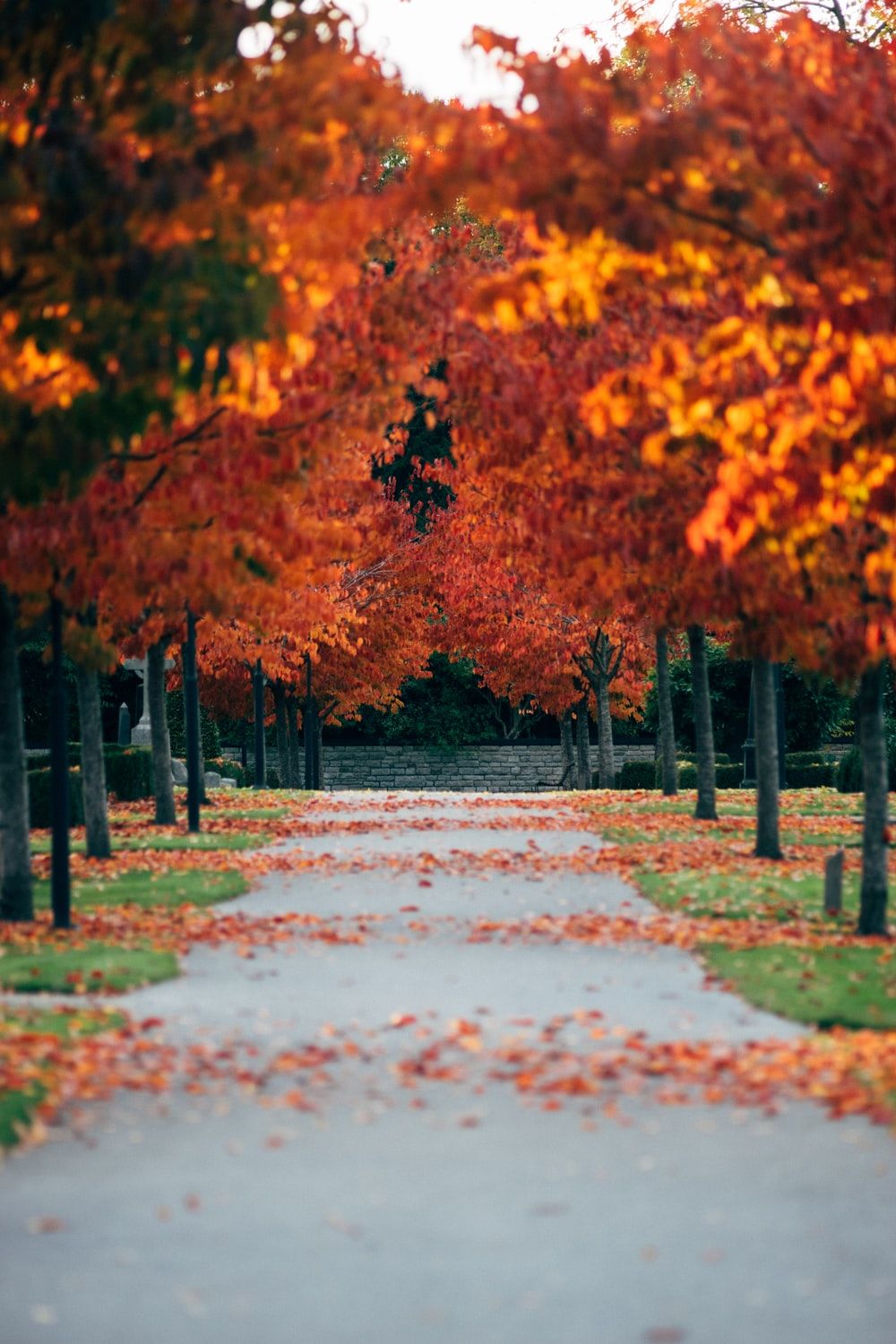 Autumn Pathway Pictures, Photos, and Images for Facebook, Tumblr ...