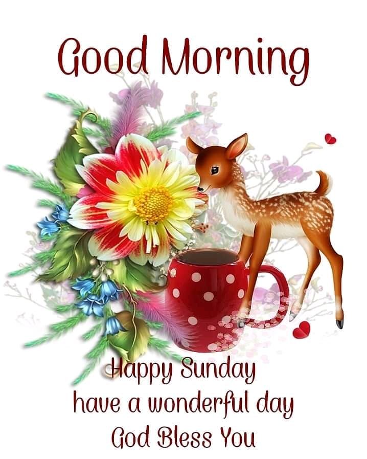 Cute Deer - Good Morning, Happy Sunday Pictures, Photos, and Images for ...