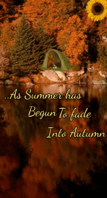 As Summer Has Begun To Fade Into Autumn Pictures, Photos, and Images ...