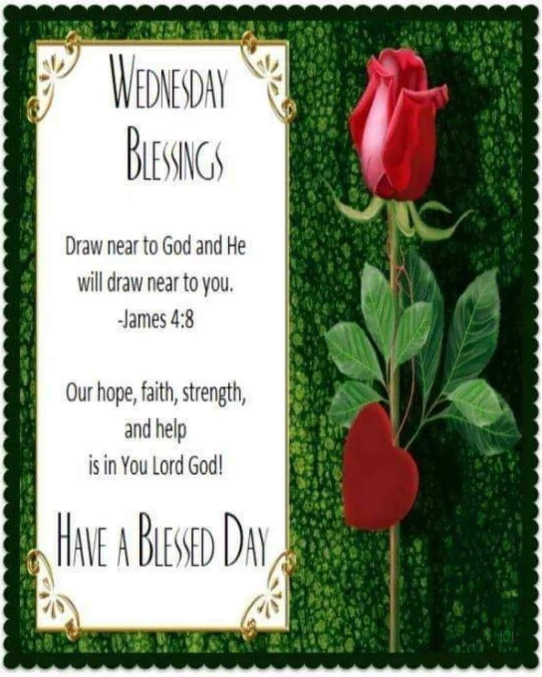 Wednesday Blessings With Rose Pictures, Photos, and Images for Facebook ...