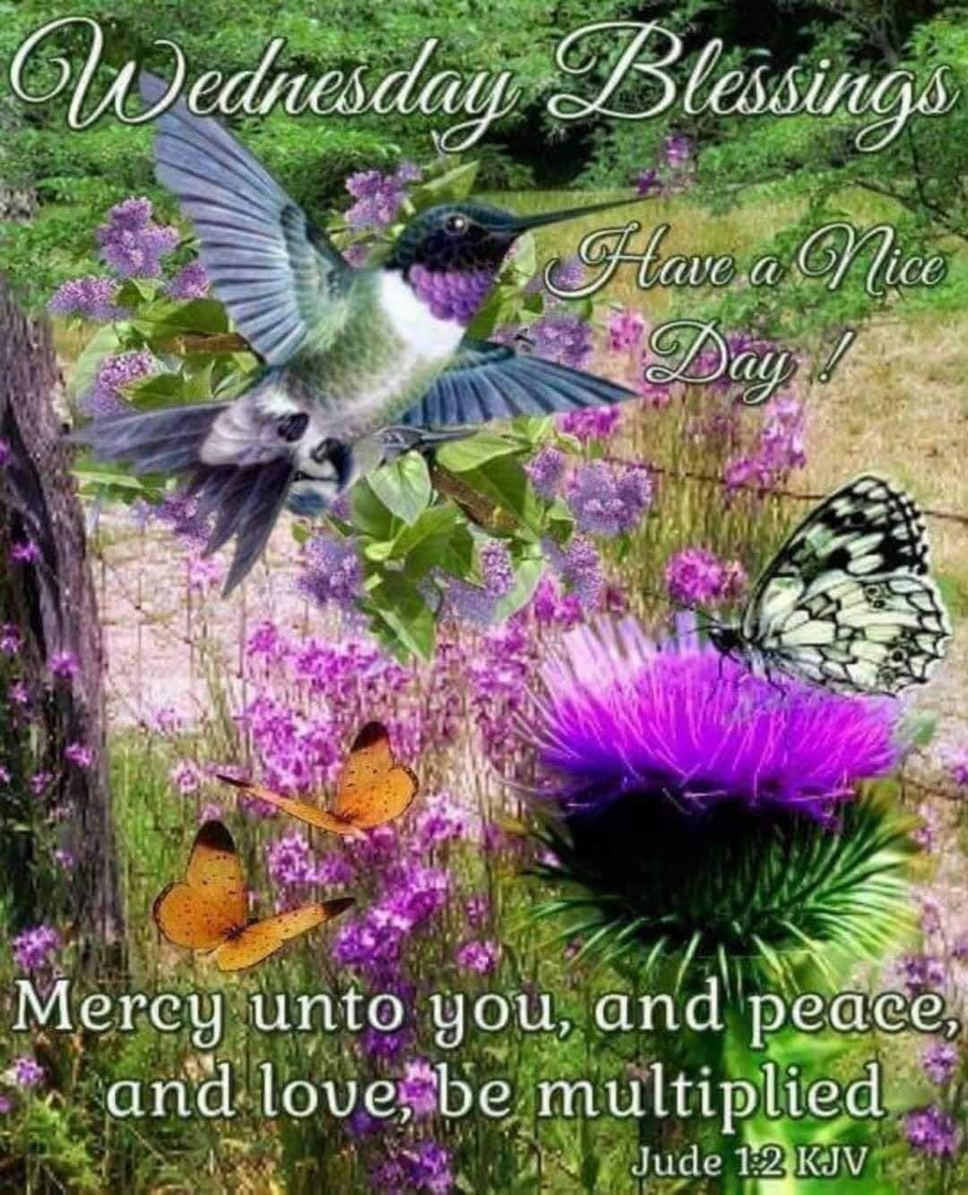 Wednesday Blessings With Hummingbird Pictures, Photos, and Images for ...