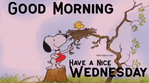 Snoopy With Woodstock - Good Morning, Have A Nice Wednesday Pictures ...