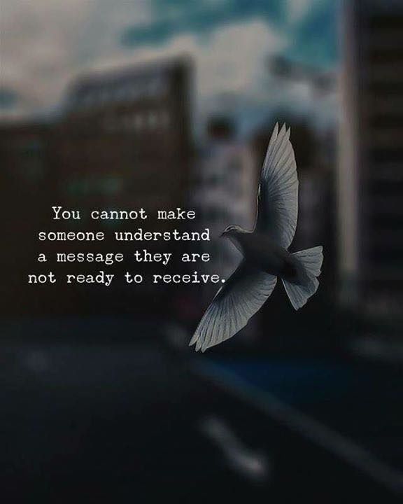 You Cannot Make Someone Understand A Message They Are Not Ready To ...