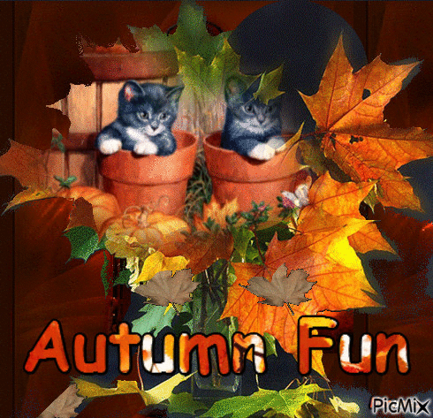 Autumn Fun Pictures, Photos, and Images for Facebook, Tumblr, Pinterest ...