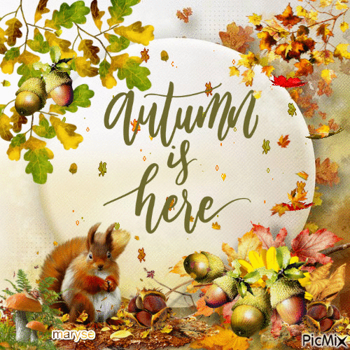Autumn Is Here Pictures, Photos, and Images for Facebook, Tumblr ...