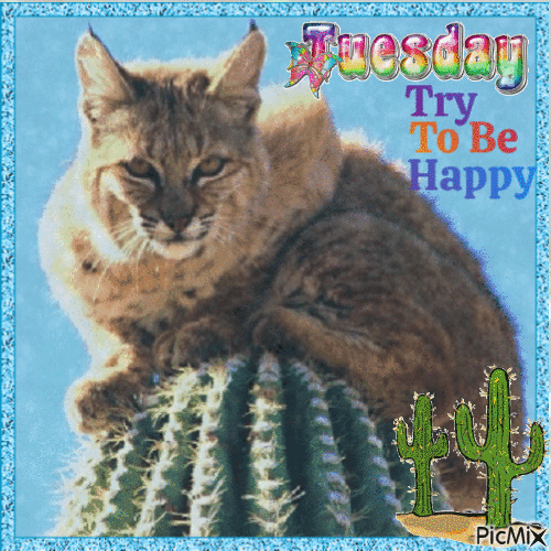 Tuesday: Try To Be Happy Pictures, Photos, and Images for Facebook ...