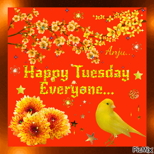 Happy Tuesday Everyone... Pictures, Photos, and Images for Facebook ...