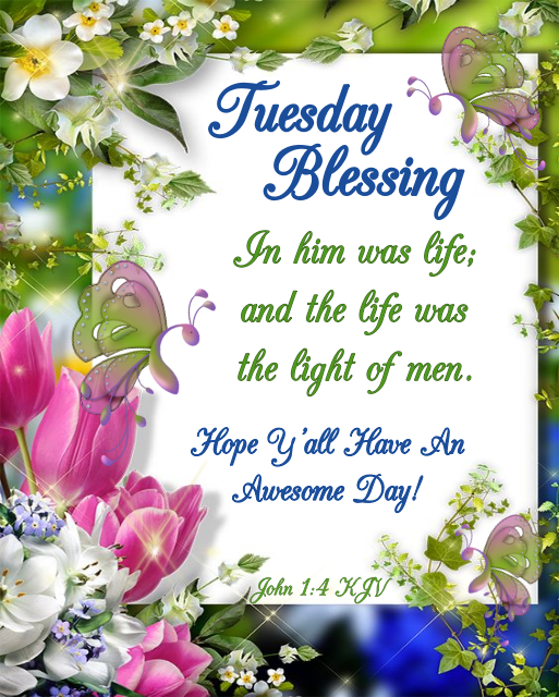 Floral Tuesday Blessing Image With Quote Pictures, Photos, and Images ...