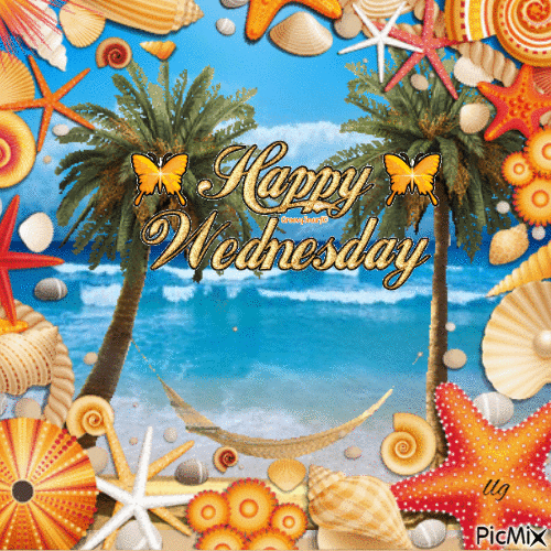 Beachy Happy Wednesday Gif Pictures, Photos, and Images for Facebook ...