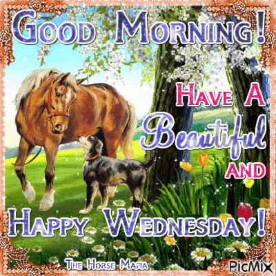 Have A Beautiful Wednesday & Good Morning! Pictures, Photos, and Images ...