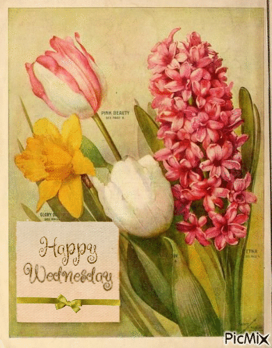 Vintage Happy Wednesday Floral Gif Pictures, Photos, and Images for ...