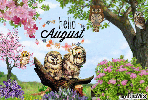 Hello August Owls Pictures, Photos, and Images for Facebook, Tumblr ...