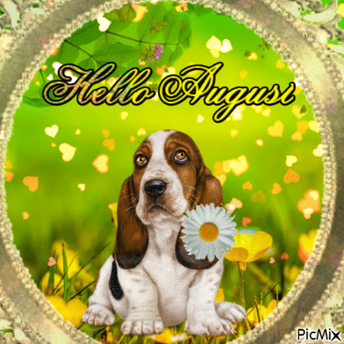 Hello August With Dog Pictures, Photos, and Images for Facebook, Tumblr ...