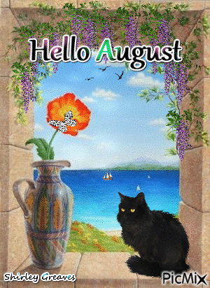 Black Cat Hello August Gif Pictures, Photos, and Images for Facebook ...