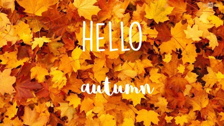 Autumn Quotes Tumblr