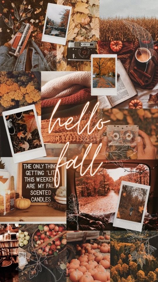 Collage Of Autumn - Hello Fall Pictures, Photos, and Images for ...
