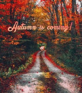 Autumn Is Coming! Pictures, Photos, and Images for Facebook, Tumblr ...