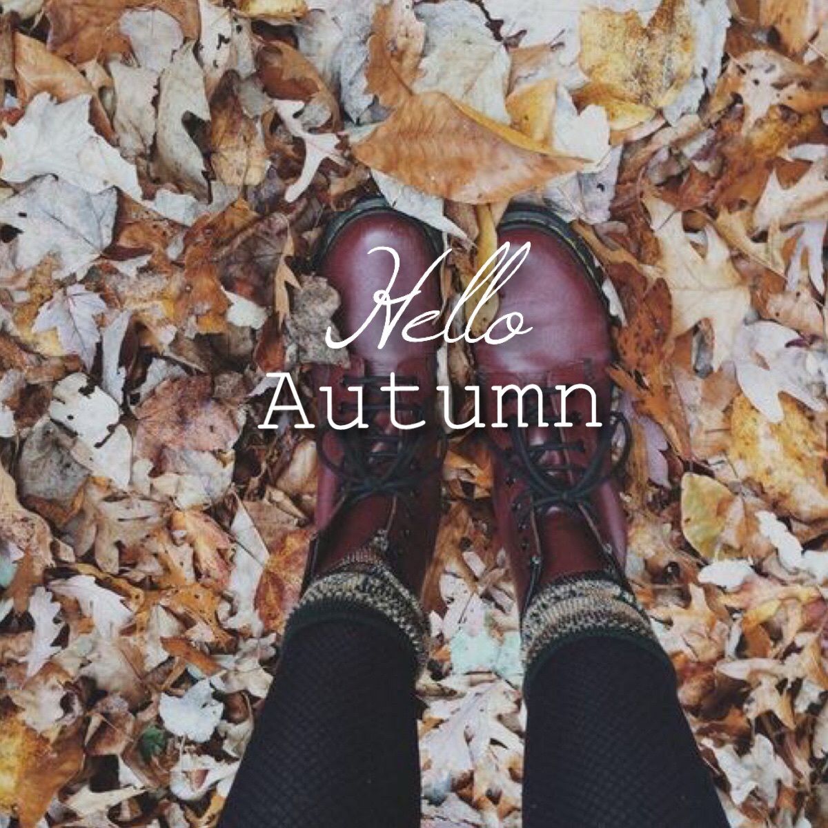 Girl Standing In Leaves - Hello Autumn Pictures, Photos, and Images for ...