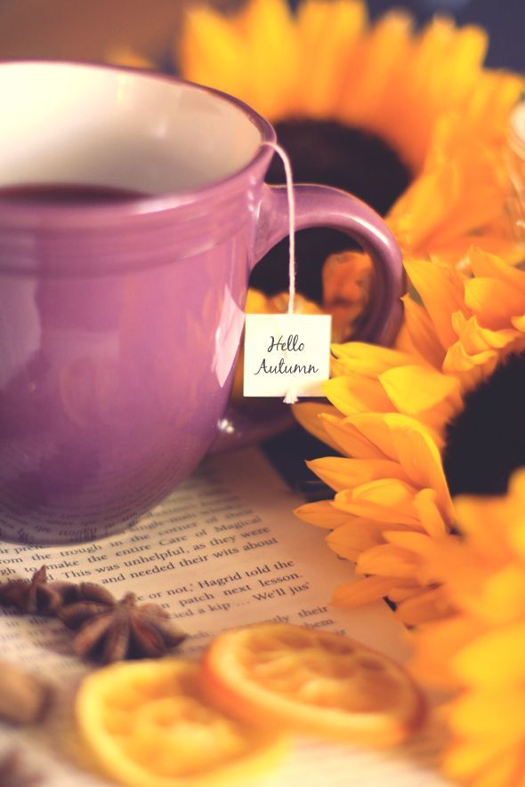 Sunflowers And Tea - Hello Autumn Pictures, Photos, and Images for ...