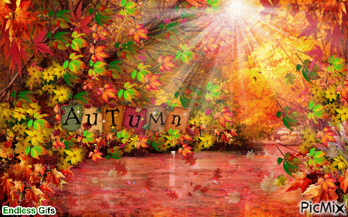 Colorful Autumn Leaves Gif Pictures, Photos, and Images for Facebook ...