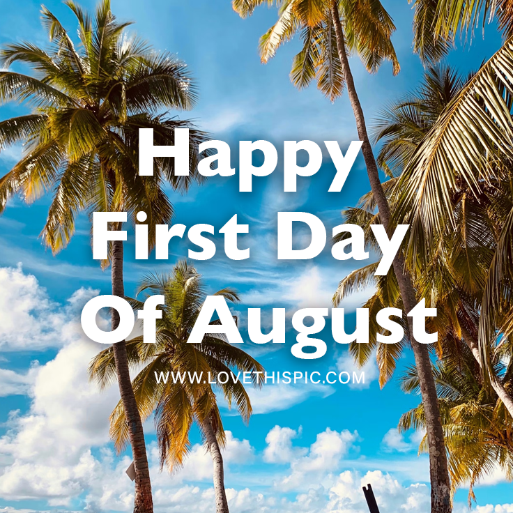 Summer Palm Trees - Happy First Day Of August Pictures, Photos, and ...