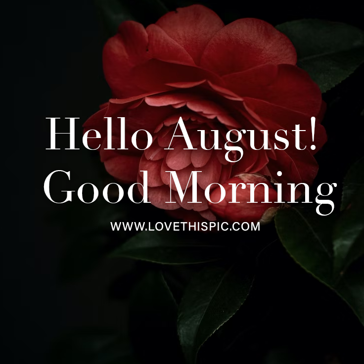 Hello August! Good Morning Pictures, Photos, and Images for Facebook ...