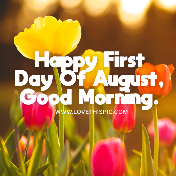 Field Of Tulips - Happy Day Of August, Good Morning Pictures, Photos ...