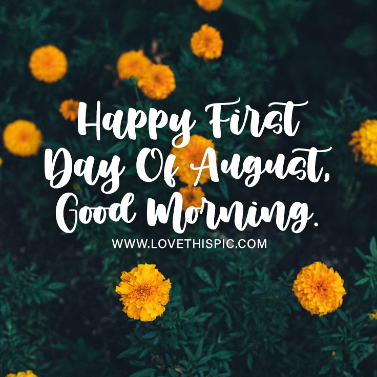Yellow Flower Field - Happy First Day Of August, Good Morning Pictures ...