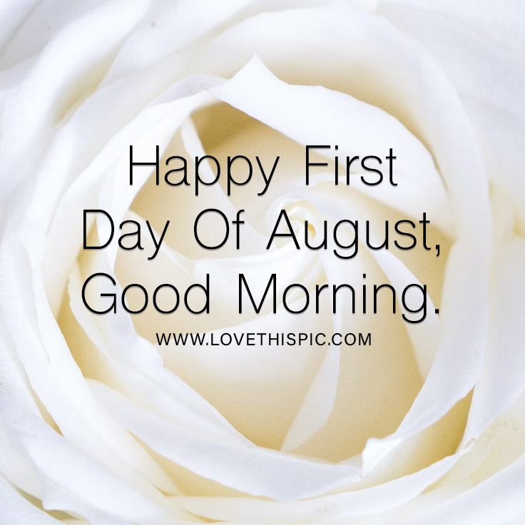 White Rose Closeup - Happy First Day Of August Pictures, Photos, and ...