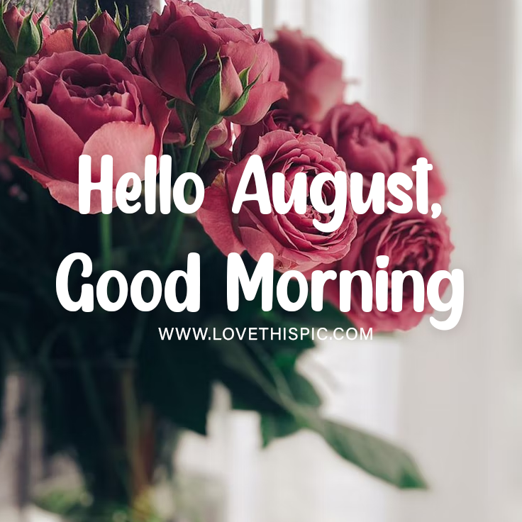 Pink Rose Bouquet - Hello August, Good Morning Pictures, Photos, and ...