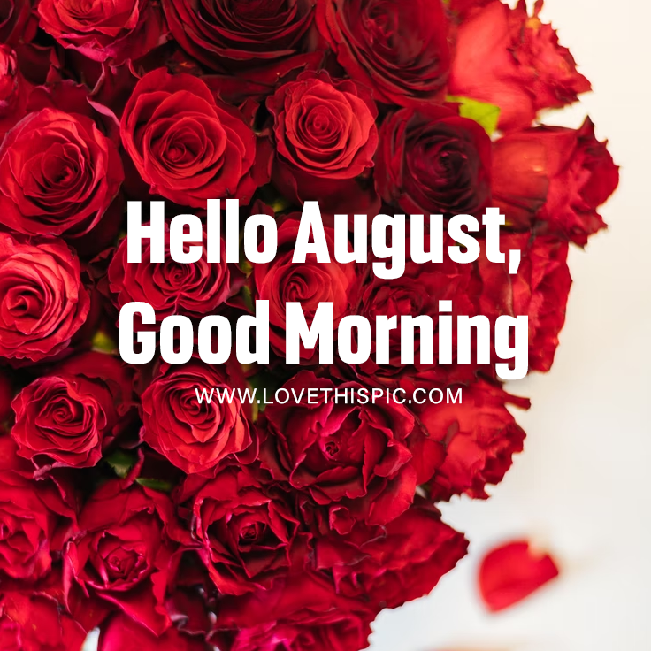 Bright Red Rose Bouquet - Hello August And Good Morning Pictures ...