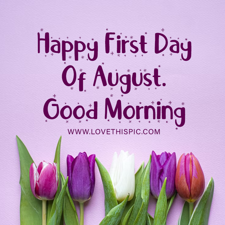 Purple And White Tulips - Happy First Day Of August, Good Morning ...