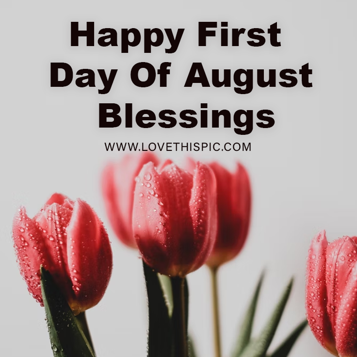 Pink Tulips - Happy First Day Of August Blessings Pictures, Photos, and ...