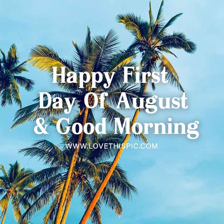 Coconut Trees - Happy First Day Of August & Good Morning Pictures ...