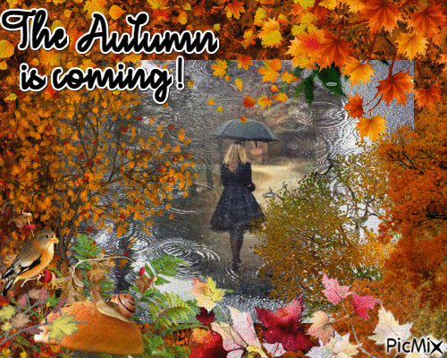 The Autumn Is Coming! Pictures, Photos, and Images for Facebook, Tumblr ...