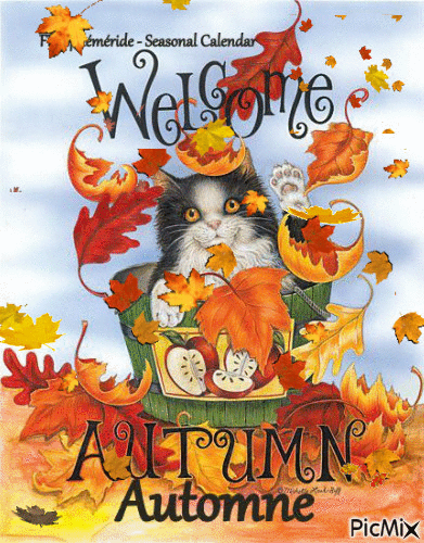 Welcome Autumn Cat Gif Pictures, Photos, and Images for Facebook ...