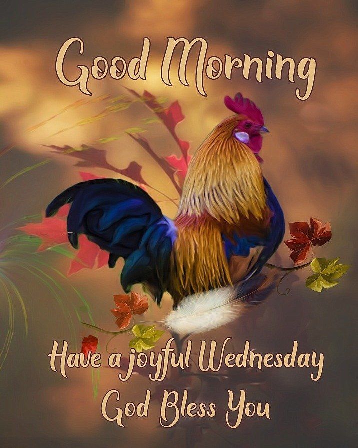 Rooster - Joyful Wednesday Pictures, Photos, and Images for Facebook ...