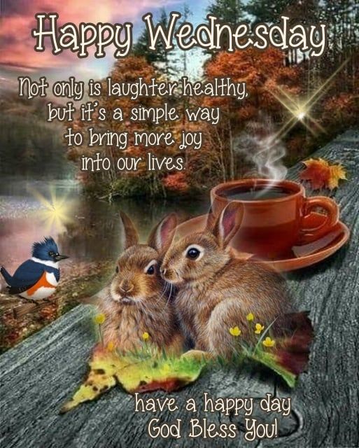 Hugging Rabbits - Happy Wednesday Positivity Pictures, Photos, and ...