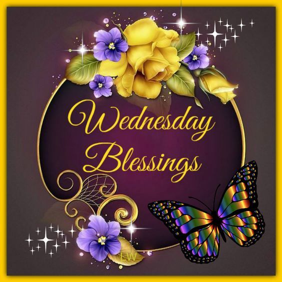 Magical Butterfly And Yellow Rose - Wednesday Blessings Pictures ...