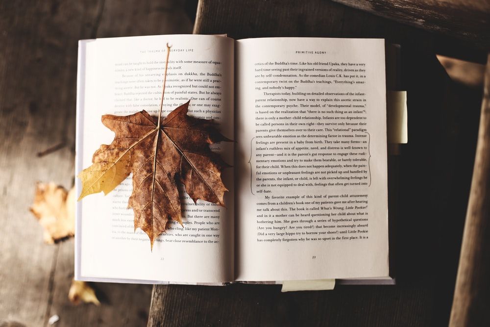 Autumn Leaf With Book Pictures, Photos, and Images for Facebook, Tumblr ...