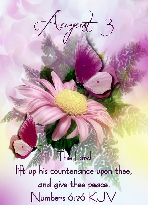 Happy Wednesday & August 3 Pictures, Photos, and Images for Facebook ...