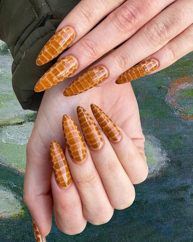 Brown Snake Skin Nails Pictures, Photos, and Images for Facebook ...