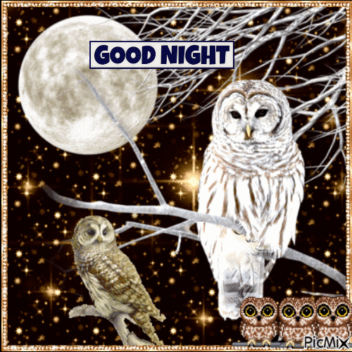 Full Moon & Owl - Good Night Pictures, Photos, and Images for Facebook, Tumblr, Pinterest, and ...