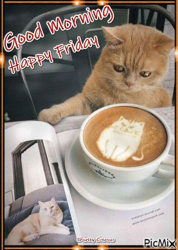 Cat With Coffee - Good Morning, Happy Friday Pictures, Photos, and ...